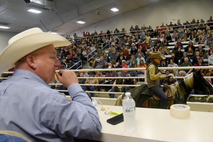 Horse sale draws hundreds to arena | Local News | cannonfallsbeacon.com