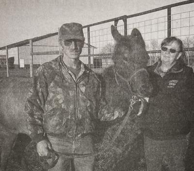 Yesteryear: Elk farm helps preserve domestic elk population | Local ...
