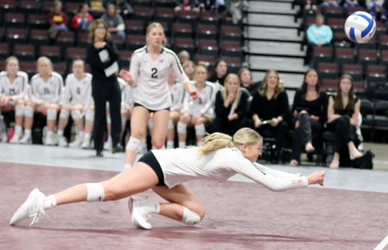 PHOTOS: Section 1AA Championship Volleyball | | cannonfallsbeacon.com
