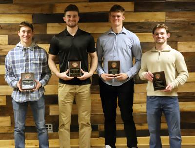 Awards are in for Cannon Falls, Randolph winter sports | Sports ...