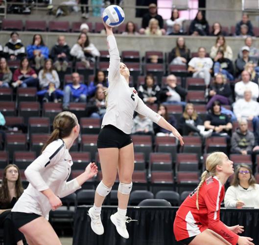 PHOTOS: Section 1AA Championship Volleyball | | cannonfallsbeacon.com