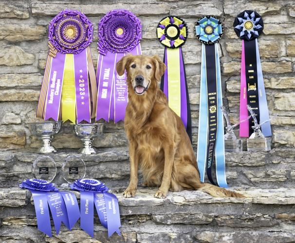 Kori Bevis and her dog Baker crush records | Local News ...