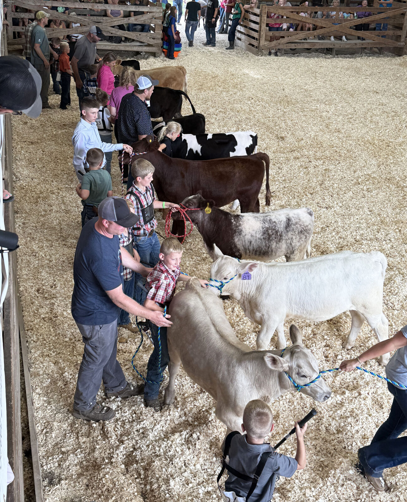 Images from the Goodhue County Fair | Local News | cannonfallsbeacon.com