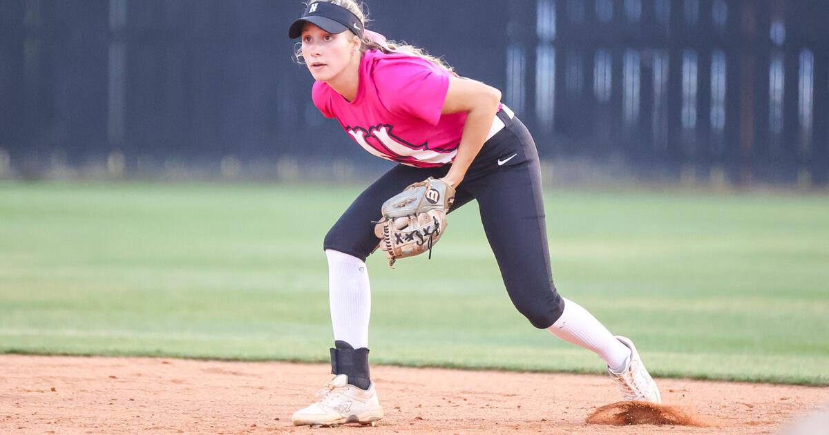 MHSAA Second Round Fast Pitch Softball Playoff Scores | Capital Sports | capitalsportsms.com