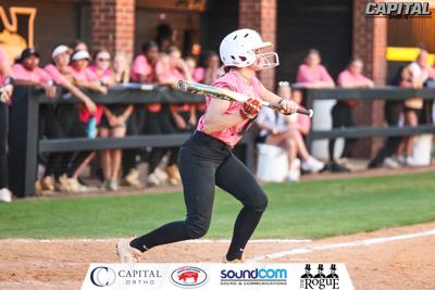 MHSAA First Round Fast Pitch Softball Playoff Scores | Capital Sports | capitalsportsms.com
