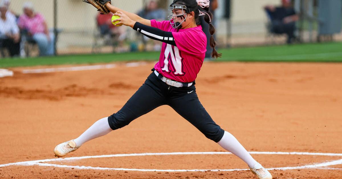 MHSAA Semifinal Round Softball Playoff Scores | Capital Sports | capitalsportsms.com