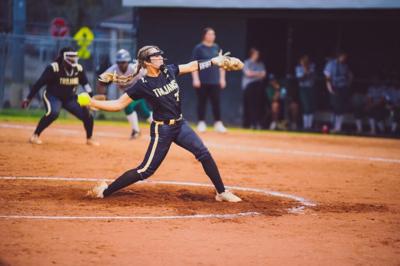 First and Second Round MHSAA Softball Playoff Scores | Capital Sports | capitalsportsms.com