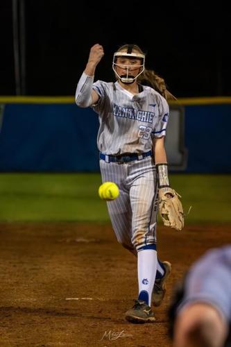 First Round MHSAA Softball Playoff Scores | Capital Sports | capitalsportsms.com