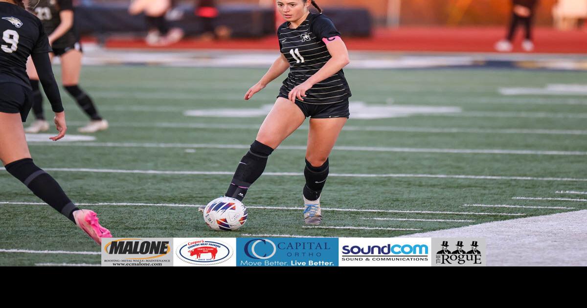 At a Glance: MHSAA Soccer State Championships | Capital Sports ...