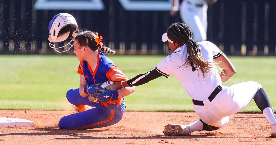 MHSAA Third Round Fast Pitch Softball Playoff Scores | Capital Sports | capitalsportsms.com