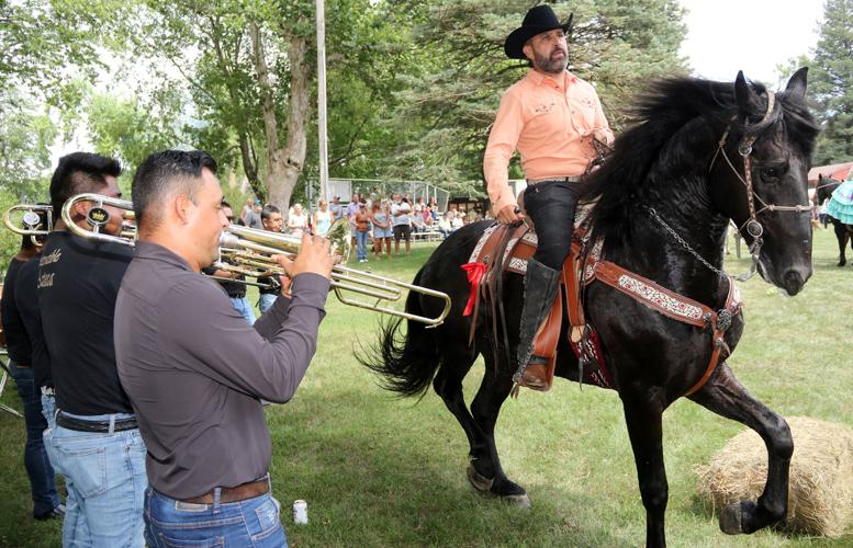 Big day goes long way for FFA | News | carrollspaper.com