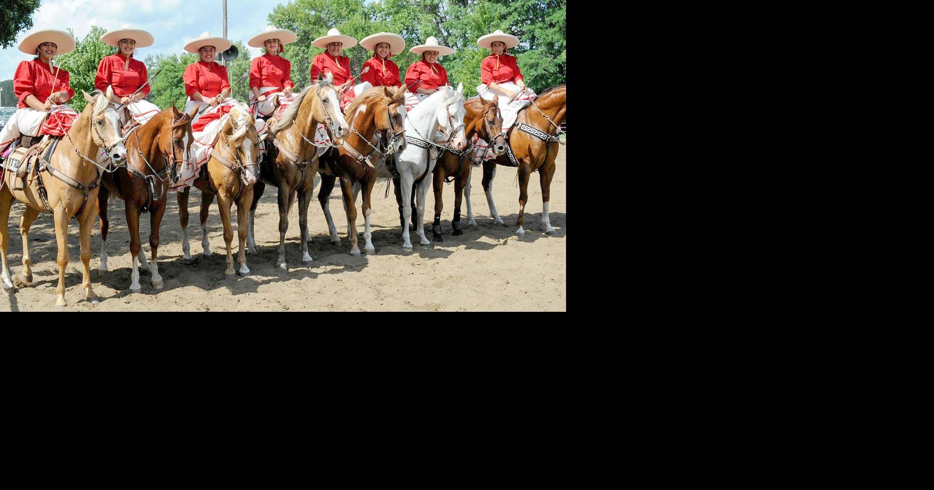 New FFA Fun Day features: Dancing horses, acrobatic and juggling shows ...