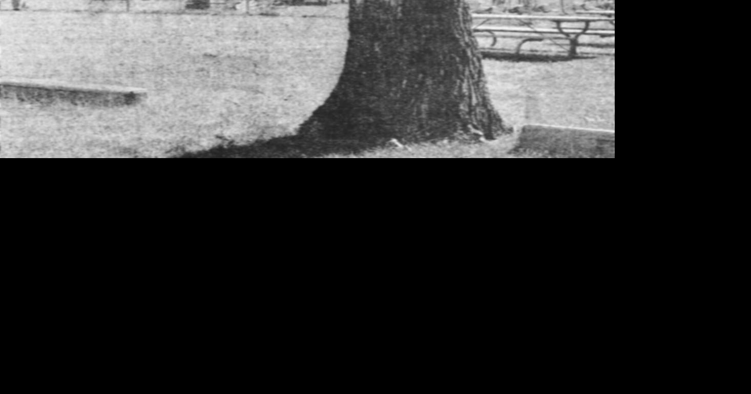 June 22, 1972 | News | carrollspaper.com