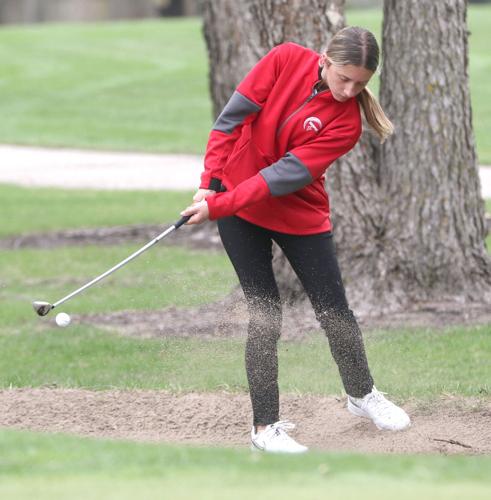 Beiter leads area golfers, Carroll finishes sixth, Knights place eighth ...