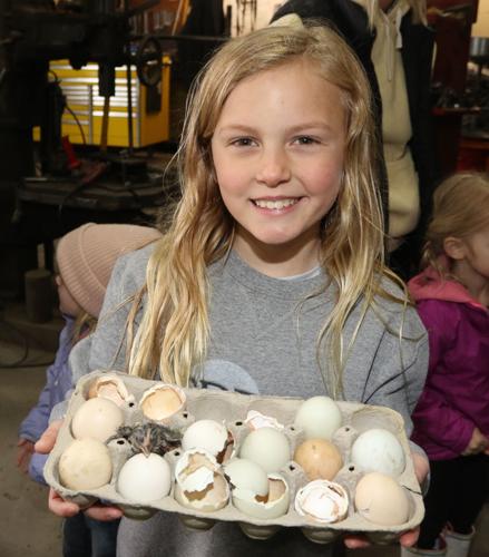 Preschoolers get taste of life on a farm | News | carrollspaper.com