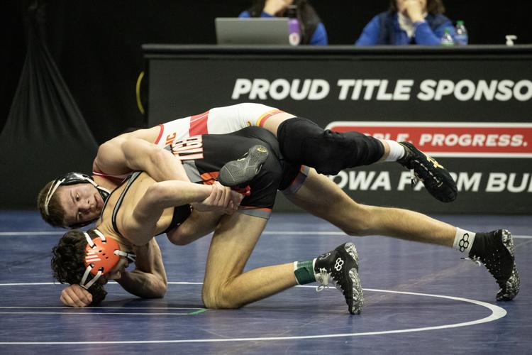 Nattress claims eighth place, as Tigers, Knights and Titans battle ...