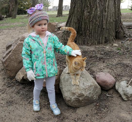 Preschoolers get taste of life on a farm | News | carrollspaper.com