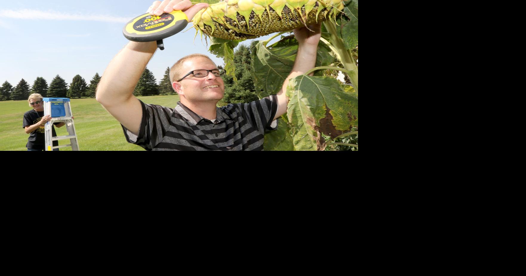 Sunflower Showdown Contest spurs trail project | News | carrollspaper.com