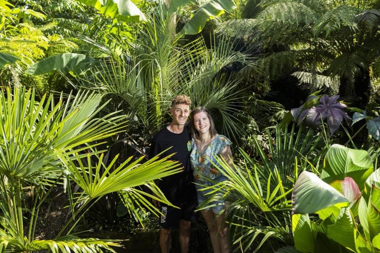 Couple turns ‘bland’ backyard into jungle paradise after 10 years ...