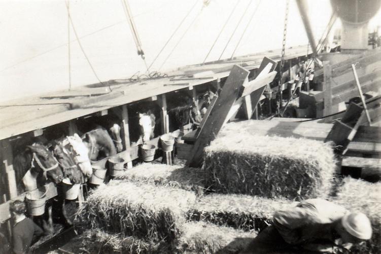 Piece of SS Carroll Victory donated to the City of Carroll | News ...