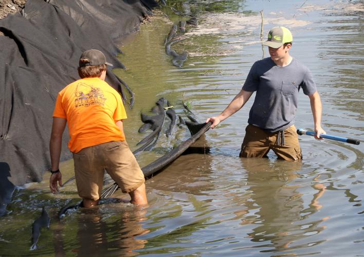 Project to improve stream through Graham Park | News | carrollspaper.com