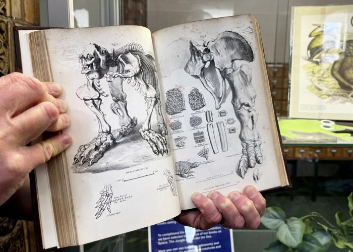 Antique library books finally returned 50 years after due date ...