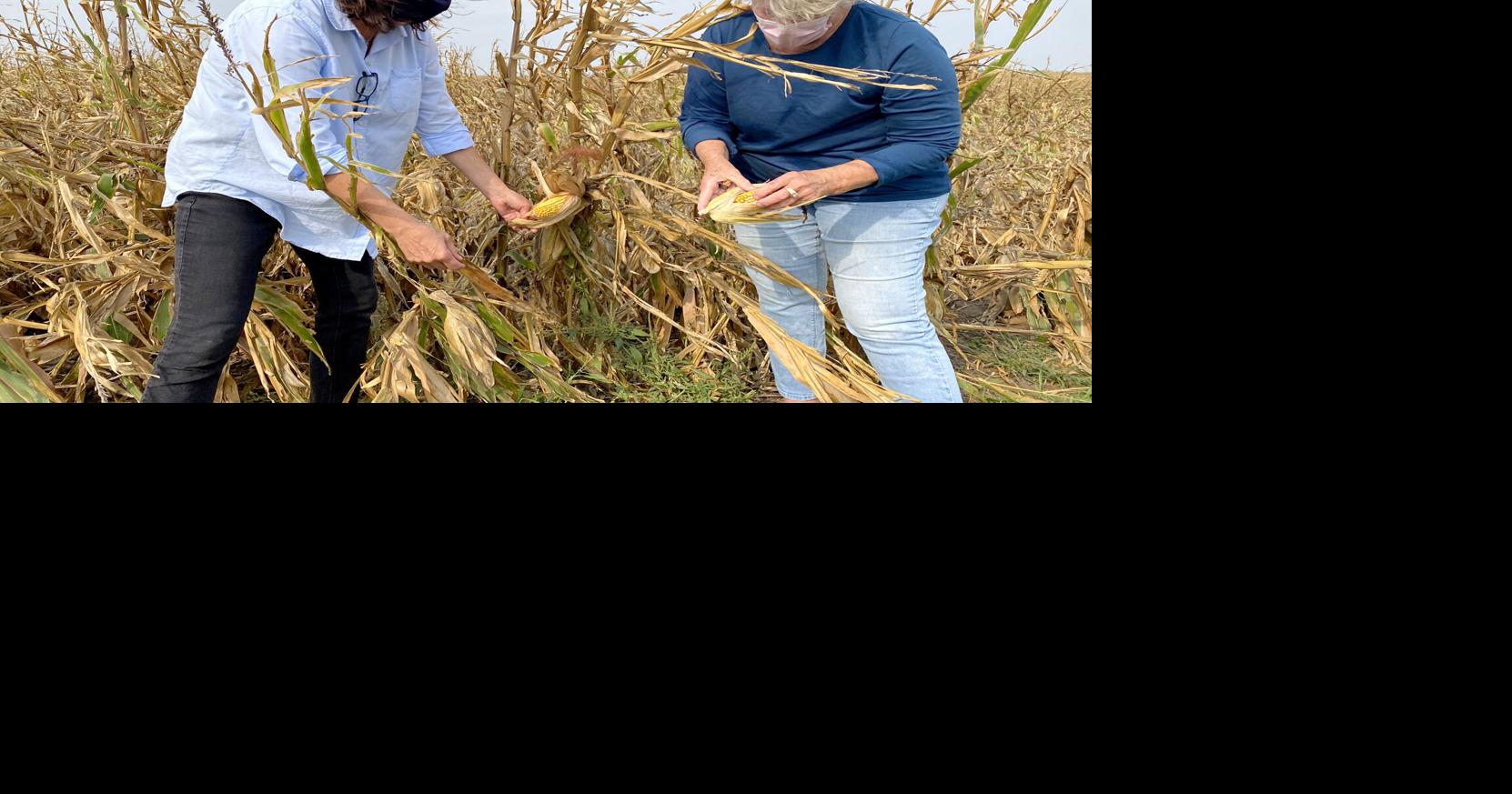 Greenfield says childhood on farm prepped her for corn-and-bean price ...