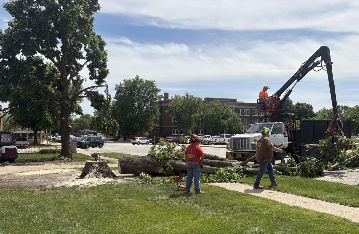 City estimates several weeks of clean up after storm | Jefferson Herald ...