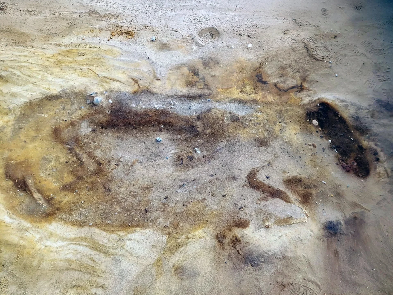 Archaeologists uncover elite Anglo-Saxon burial site during excavation ...