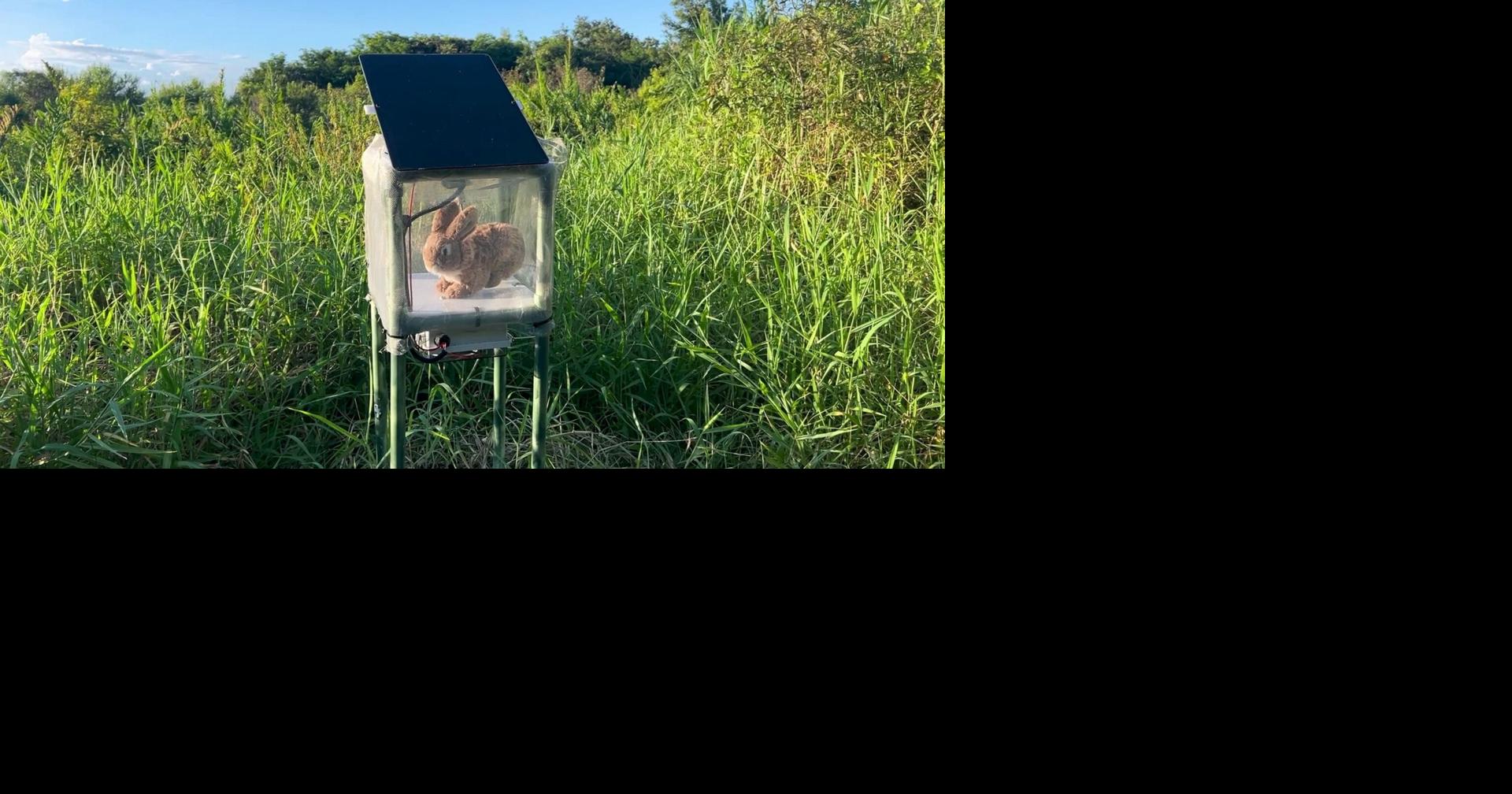 Robot rabbits trick snakes to control invasive python population ...