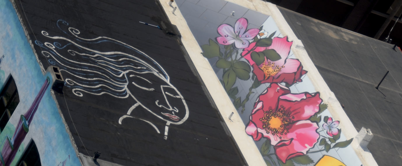 Bell Tower provides view of first 3D rooftop mural in the country ...