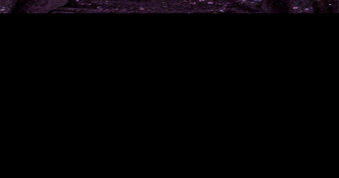 Riesberg celebrates 100th | Announcements | carrollspaper.com