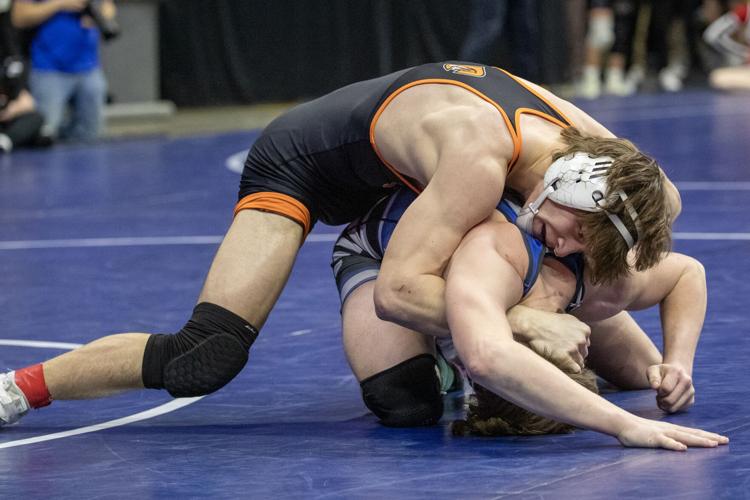 Nattress claims eighth place, as Tigers, Knights and Titans battle ...