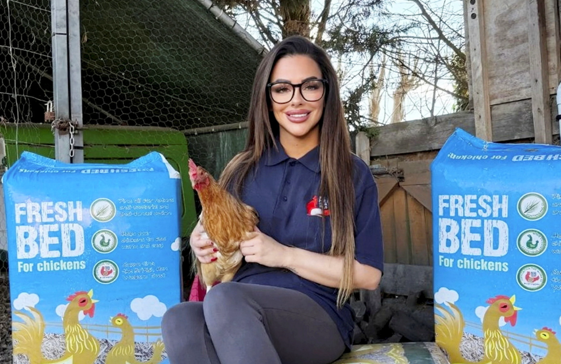 Bird flu flockdown? 5-star chicken hotel forced to close due to ...