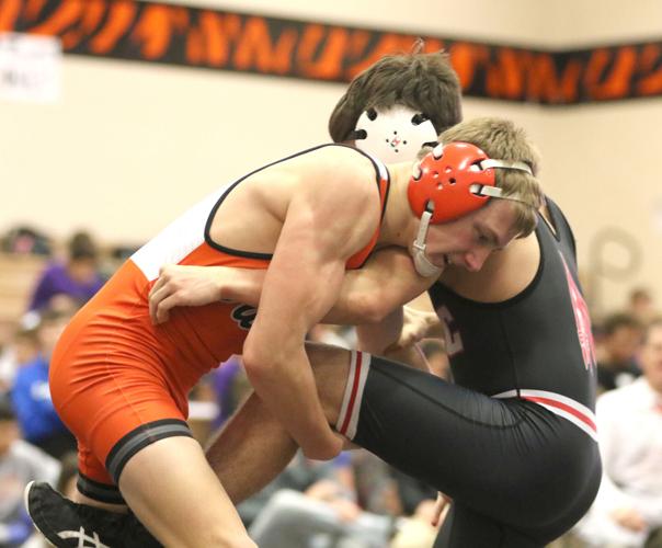 Tigers take six in title defense | Sports | carrollspaper.com