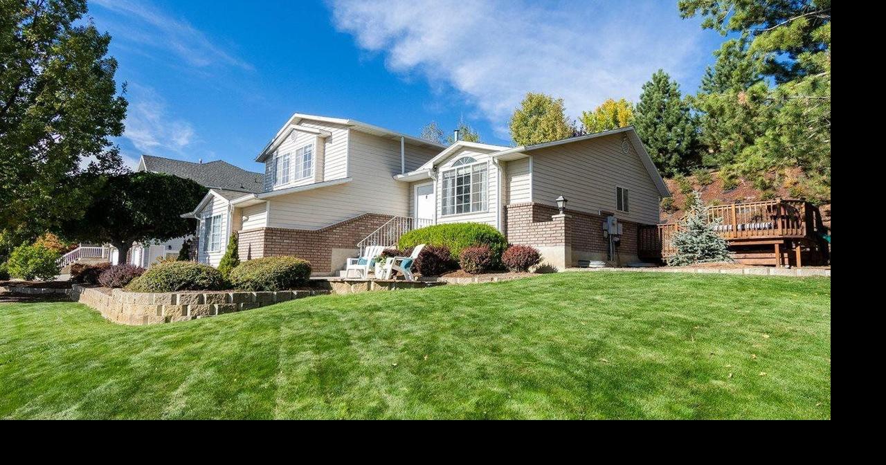 Spring lawn care: Expert tips for the first mow of the season | Tech ...