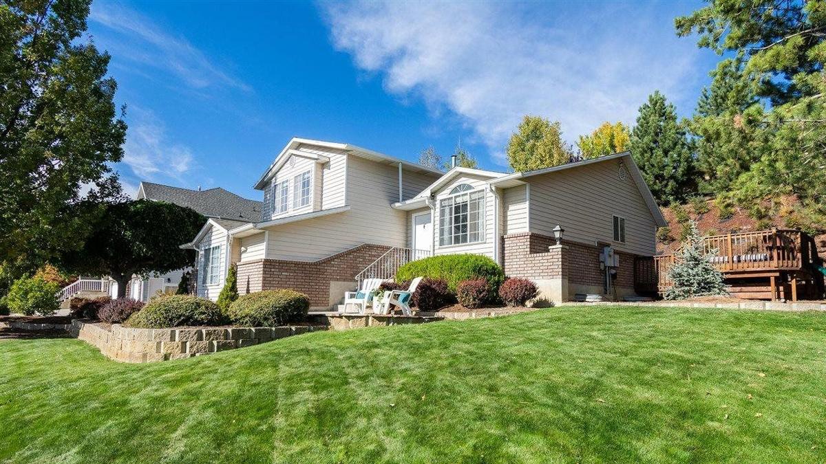 Spring lawn care: Expert tips for the first mow of the season | Tech ...