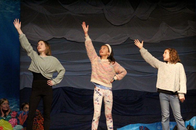 Making a splash: HCFAA presents ‘Finding Nemo’ | Calendar ...