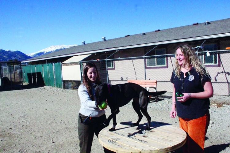 Ark-Valley Humane Society voted favorite non-profit, rescue | News ...