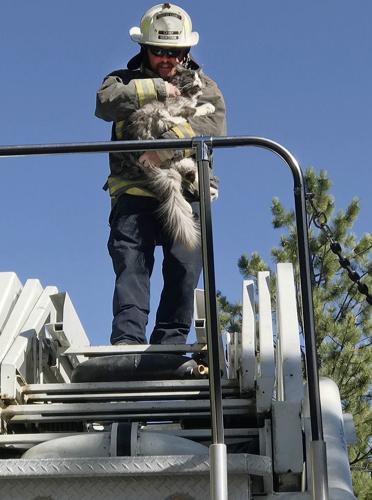 Bertram moves on from Chaffee Fire | News | chaffeecountytimes.com