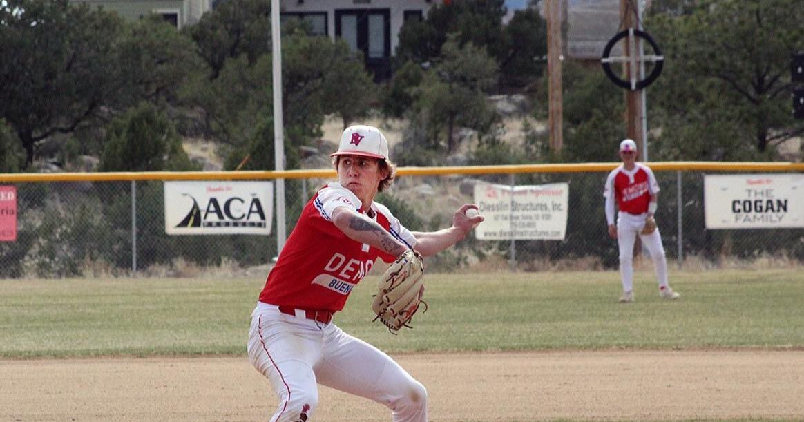 Baseball Demons host playoff round Friday | Free Content ...