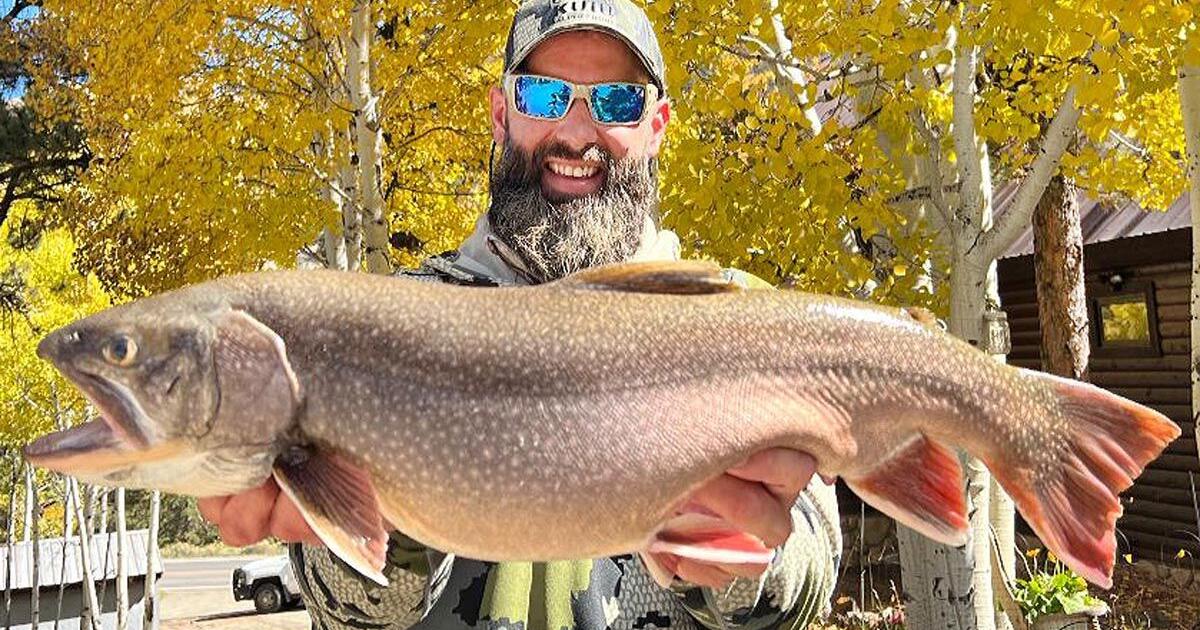 Monster brook: Third state record brook trout caught in 2022; previous ...