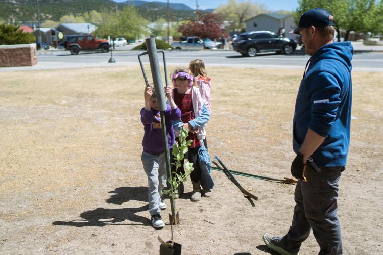 Avery-Parsons kids plant rare apple trees for Earth Day | News ...
