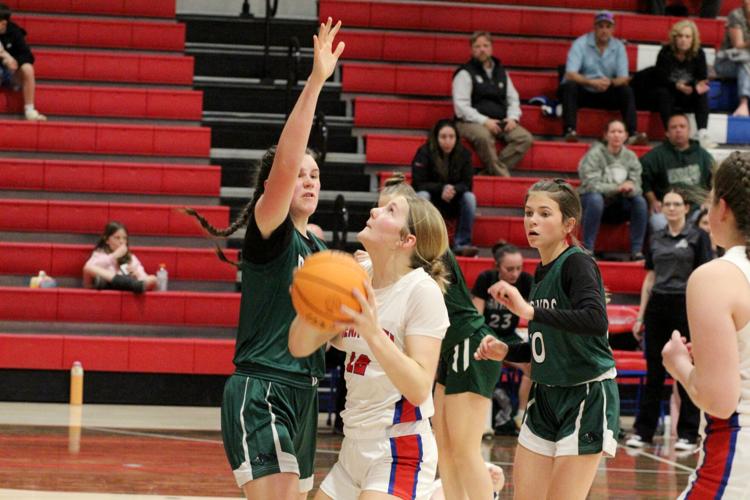 Lady Demons win two games, improve to 10-3 | Sports & Recreation ...