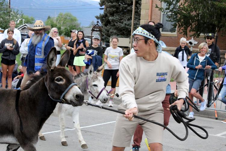 Burro race Triple Crown concludes in Buena Vista | News ...