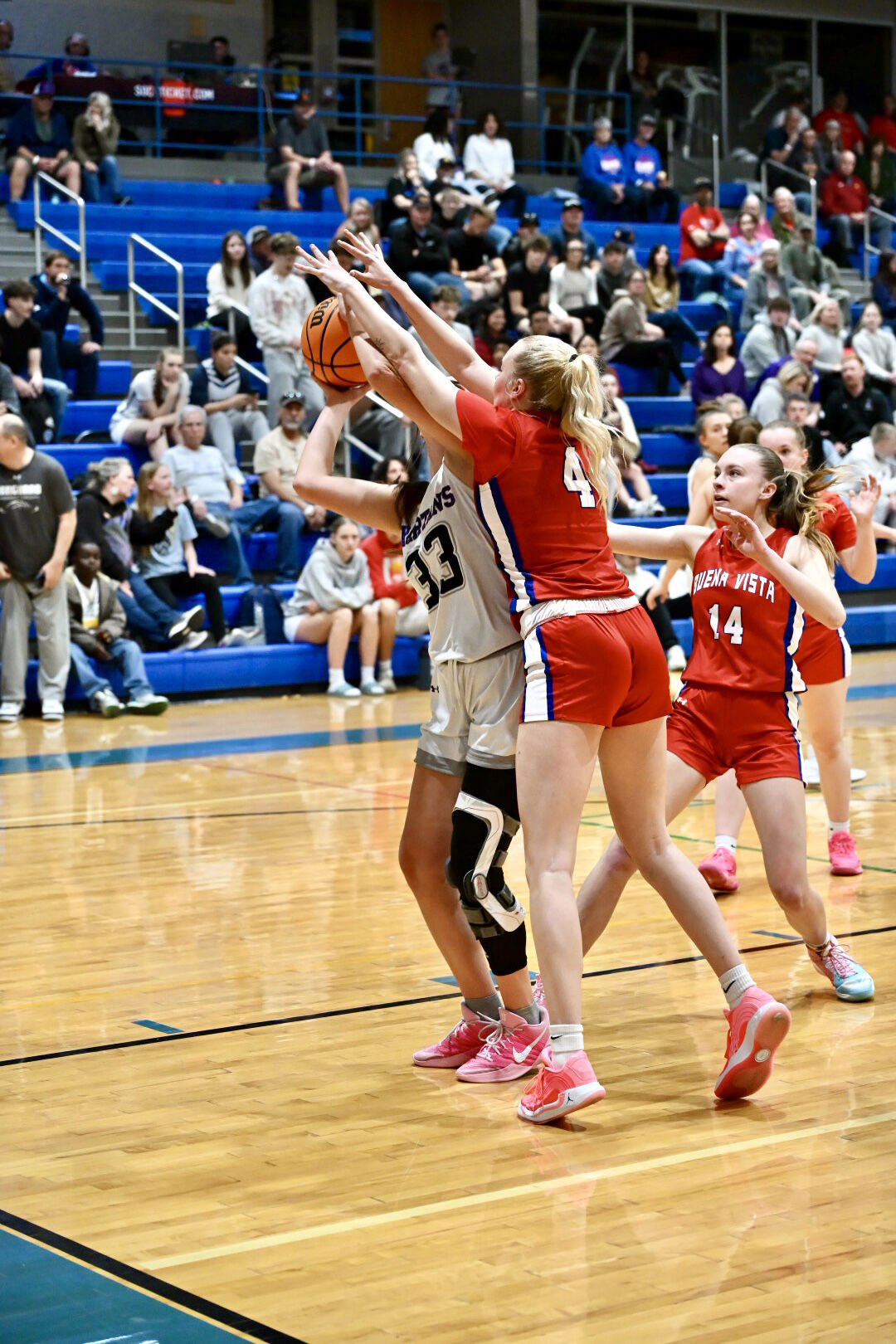 Lady Demons ready for postseason after strong showing | Sports ...