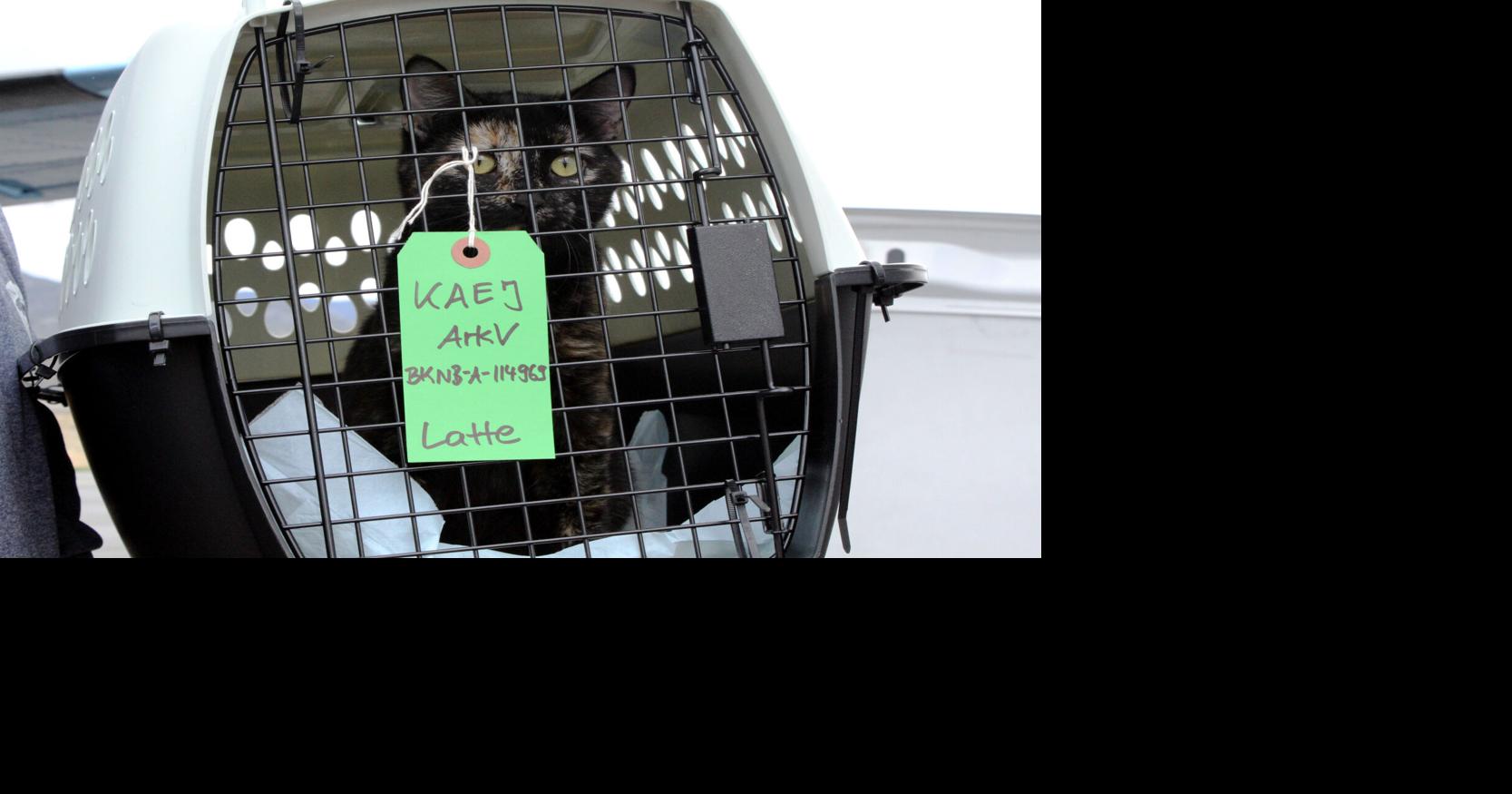 AVHS welcomes new residents – by plane | News | chaffeecountytimes.com