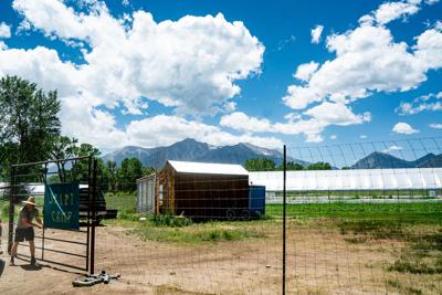 Pretty Lights plays the Meadows this weekend | News ...