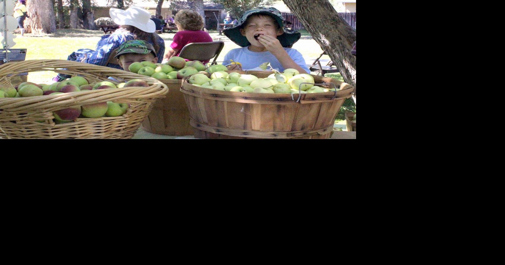 Celebrate the harvest season with Applefest | Calendar ...