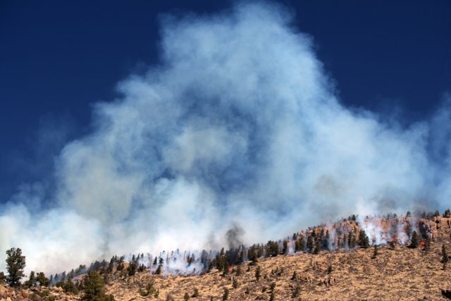 Limestone Ridge 2015 prescribed burn | | chaffeecountytimes.com